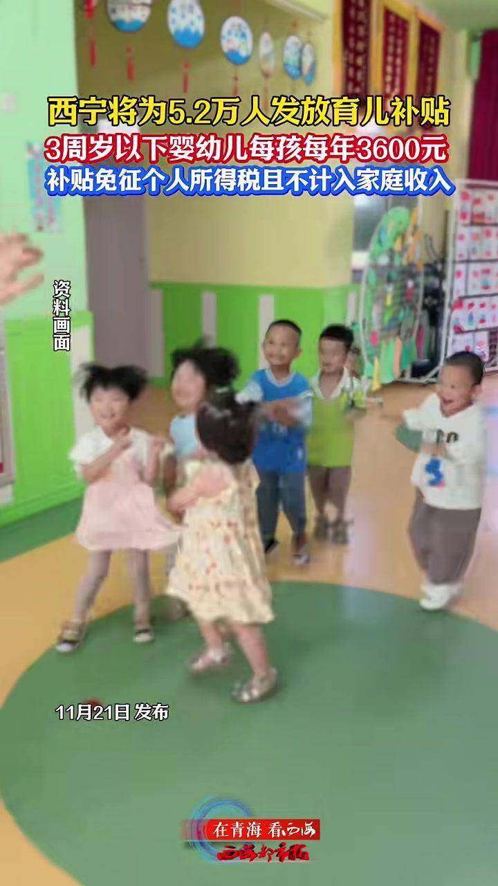 ...以下婴幼儿每孩每年3600元,补贴免征个人所得税且不计入家庭收入。