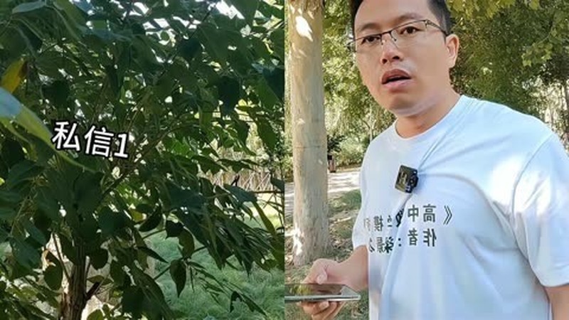 什么样的学生适合参加强基计划