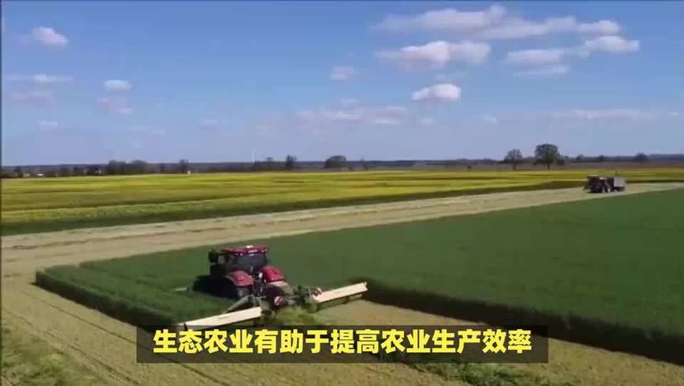 现代农业发展包括哪些模式:多元化路径引领农业新时代