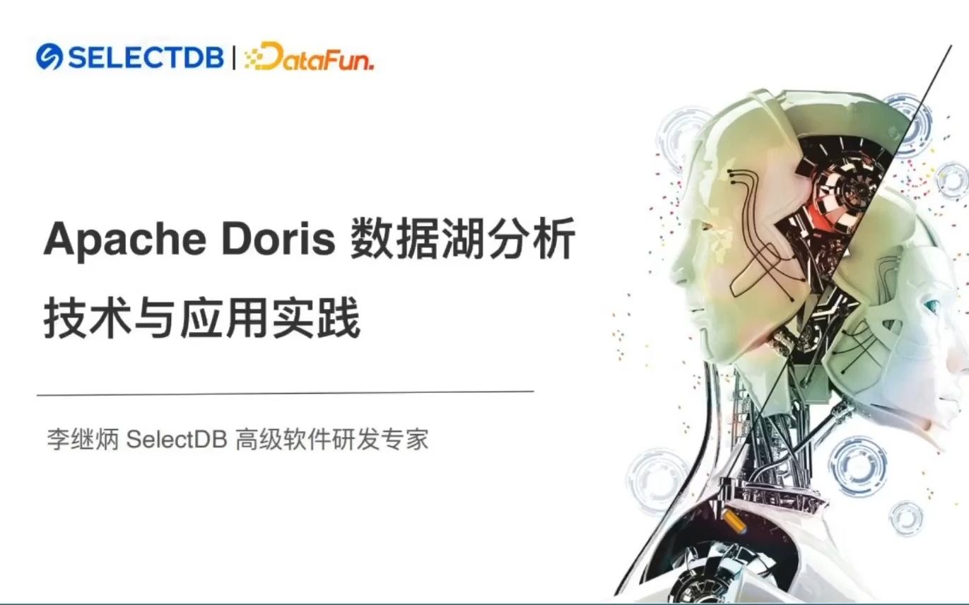 Apache Doris 数据湖分析技术与应用实践