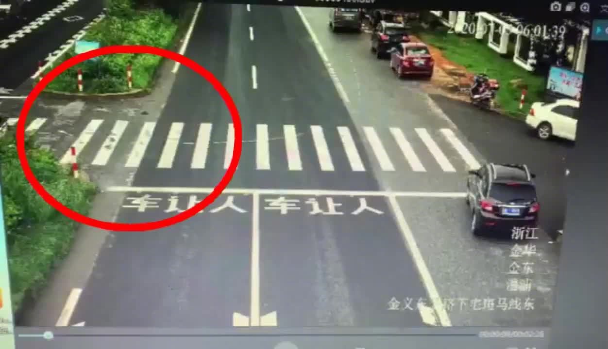 【#礼让斑马线# 别让“安全线”成为“夺命线”】#交警提醒# 斑马线...