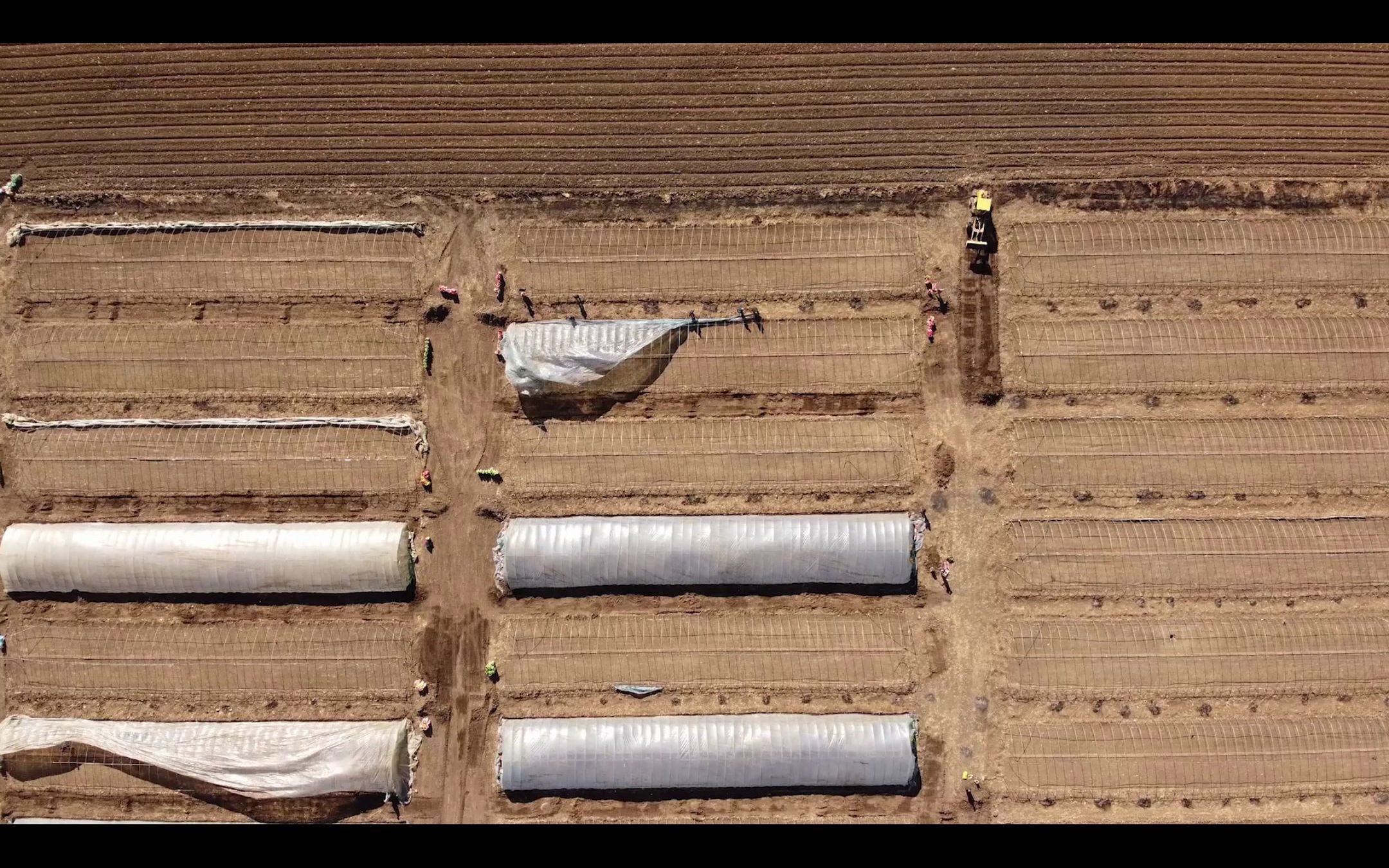 新一年春耕开始了,让我们和新发村村民一起耕耘收获,见证水稻的一生