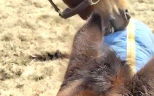 三角形是最稳定的形状