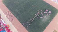 高校运动会开幕式大型表演秀,网友:确认过队型,是别人家的学校!