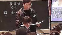 桂花雨(新课程小学语文名师课堂实录教学视频专辑)