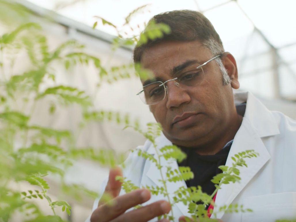 粮食安全危机如何解决?华大助力推动农业可持续发展