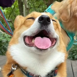 指甲长了捏不稳鼠标 