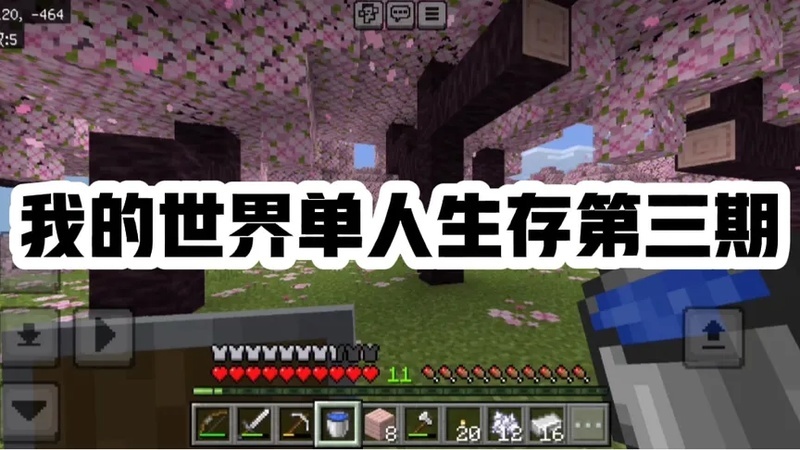 我的世界单人生存第三期(1.21原版无模组无作弊)