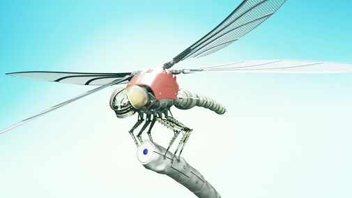 向大自然学习:仿生学存在的意义非常大,不信你看无人机