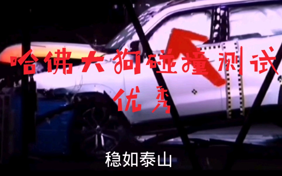 华系大狗碰撞测试优秀!