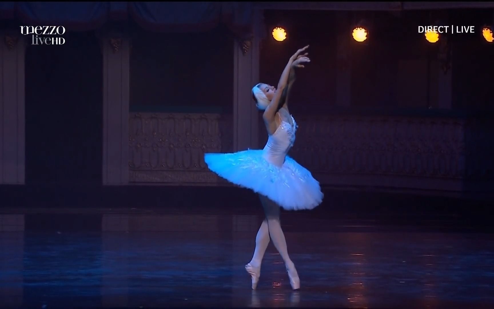 芭蕾舞版《动物狂欢节-天鹅》Saint-Saëns The Swan