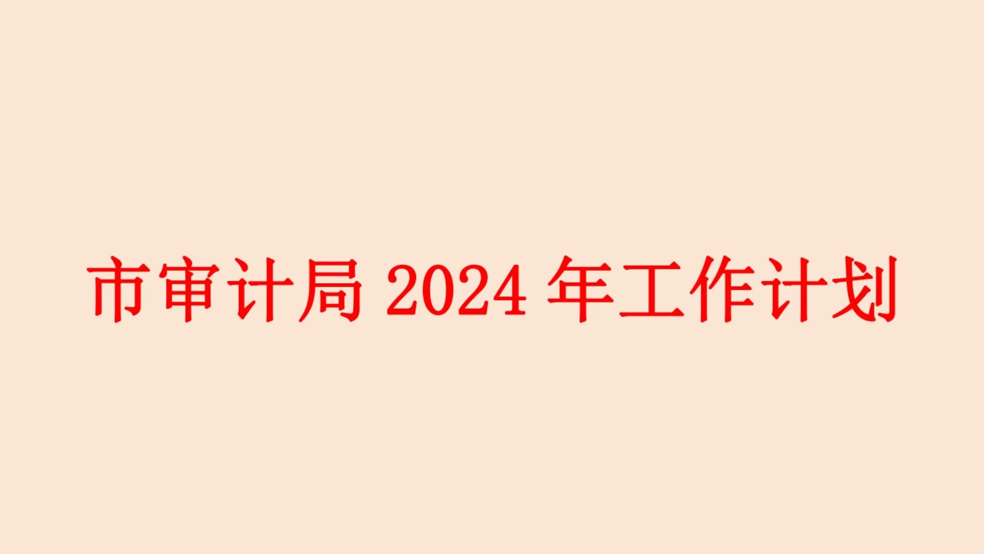 市审计局2024年工作计划