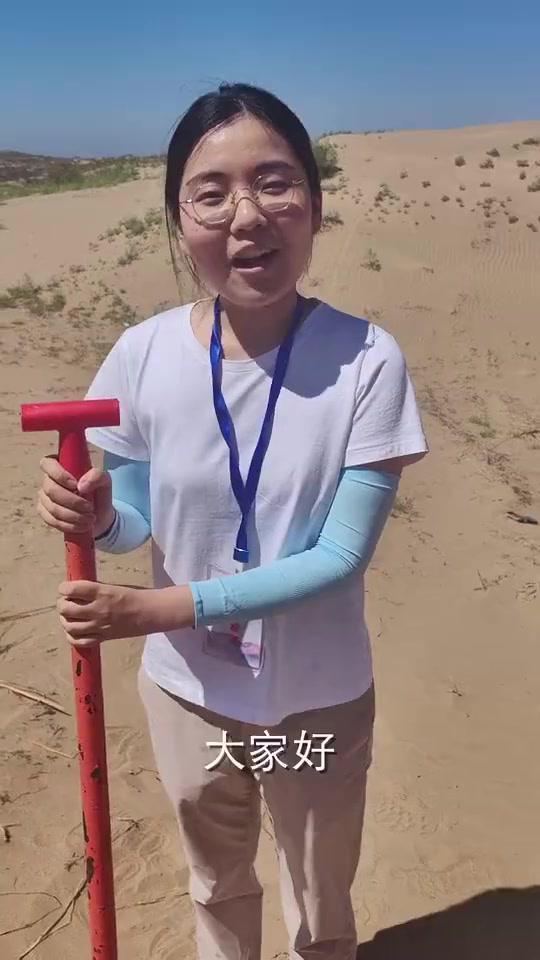 ...在宁夏白芨滩防沙林场,一块块麦草方格在沙漠中编织出巨大的网。...