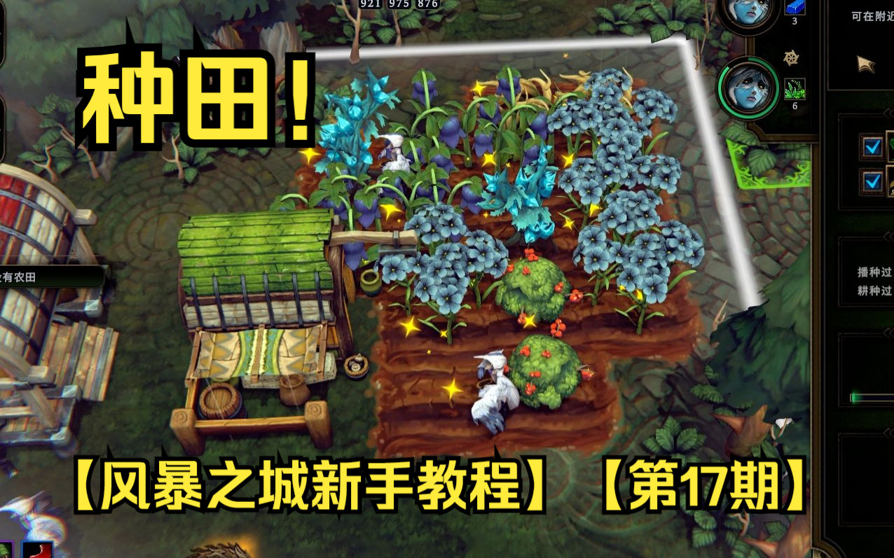 高手都是如何种田的?【风暴之城新手教程】【第17期】