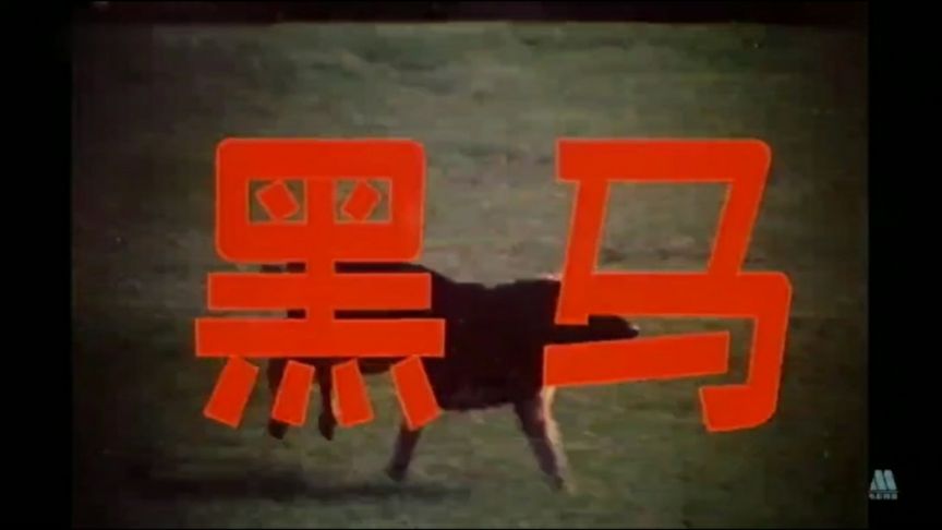 《黑马》天星冒险去镇上拿刀伤药,他路上救了一名受伤的新四军。