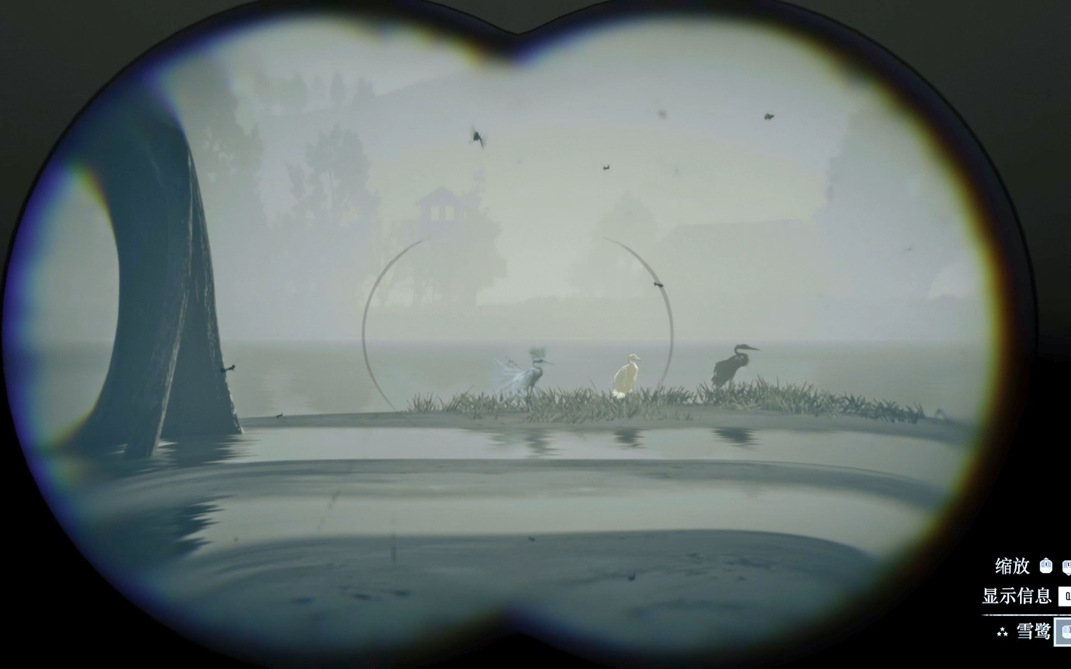 荒野大镖客2 新职业 小饰品材料动物的位置or其他衣服解锁动物地点