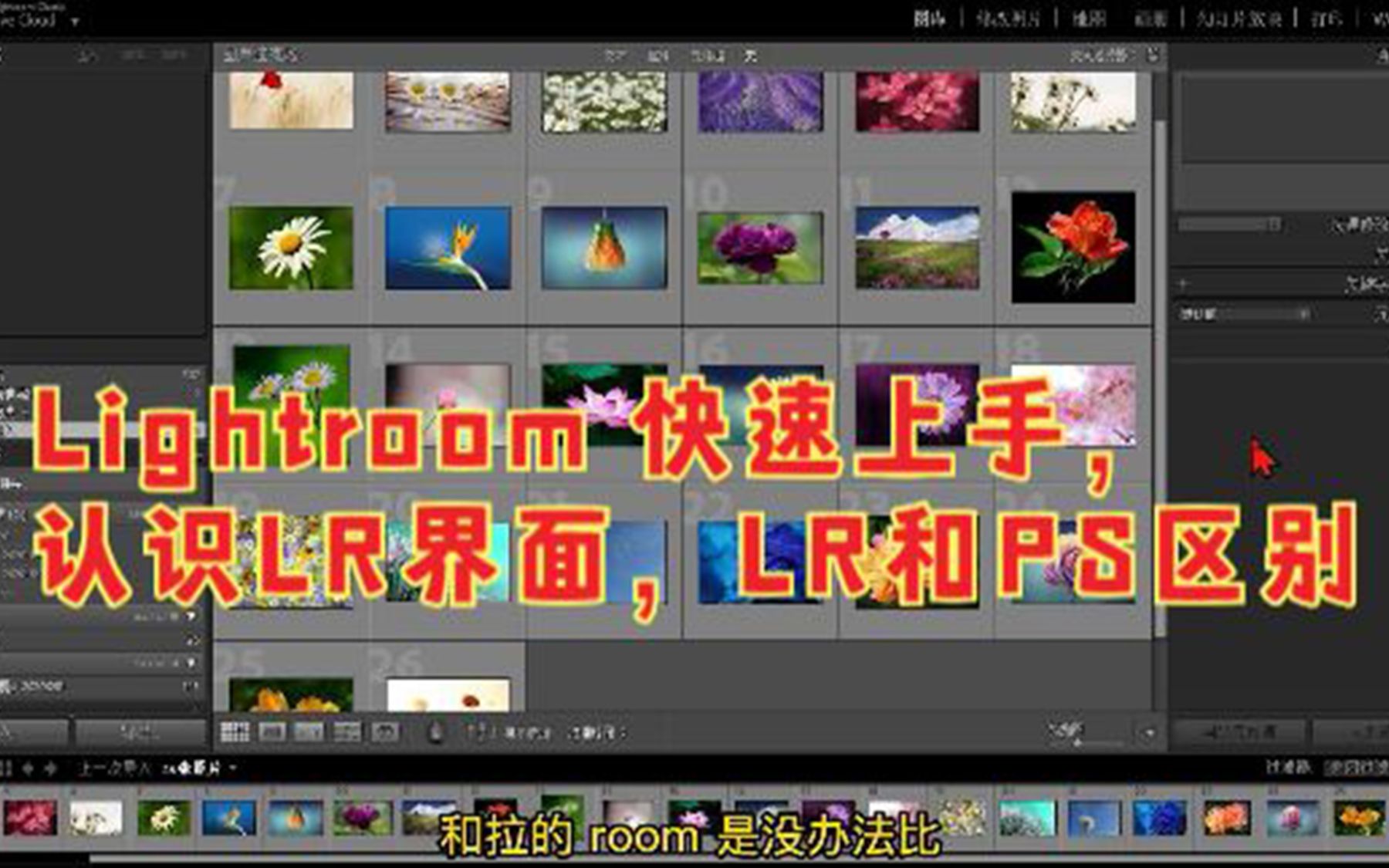 Lightroom 快速上手,认识LR界面,LR和PS区别01