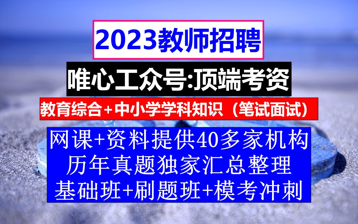 教师招聘,教师求职简历表格%20个人简历电子版,各地教师的招聘信息
