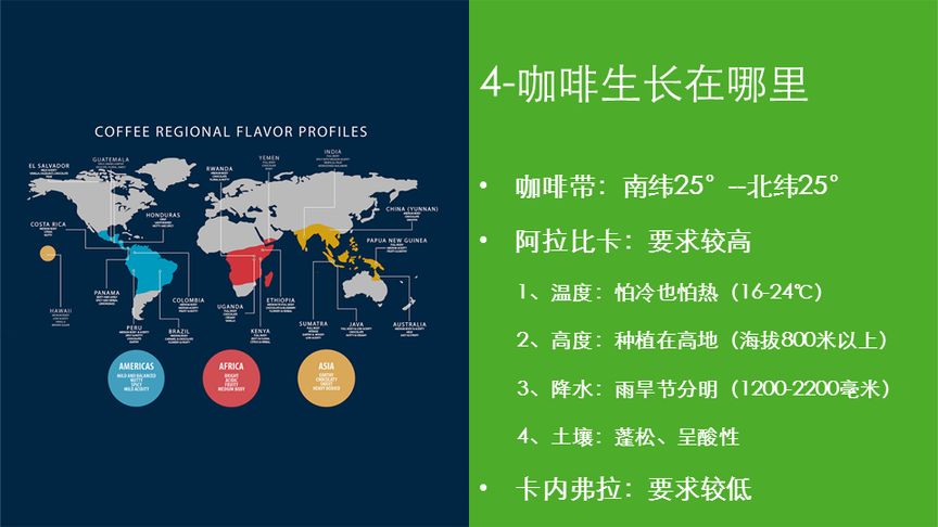 嗡嗡说咖啡第4集:咖啡生长在哪里