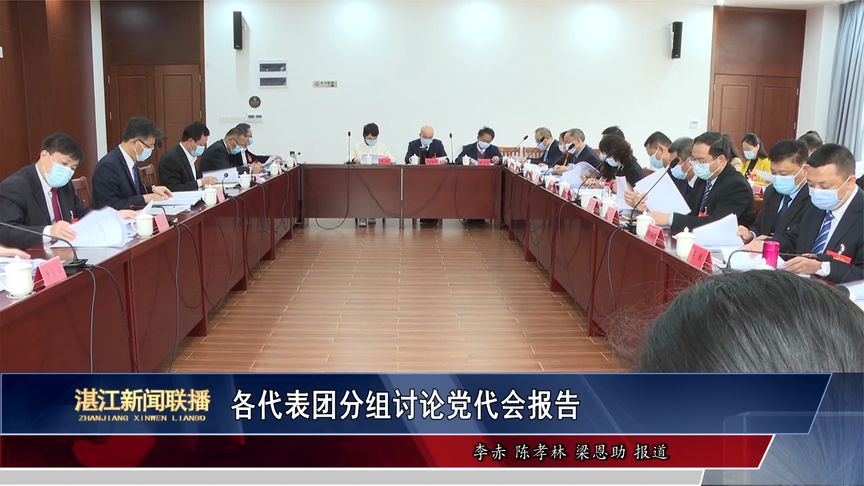 各代表团分组讨论党代会报告