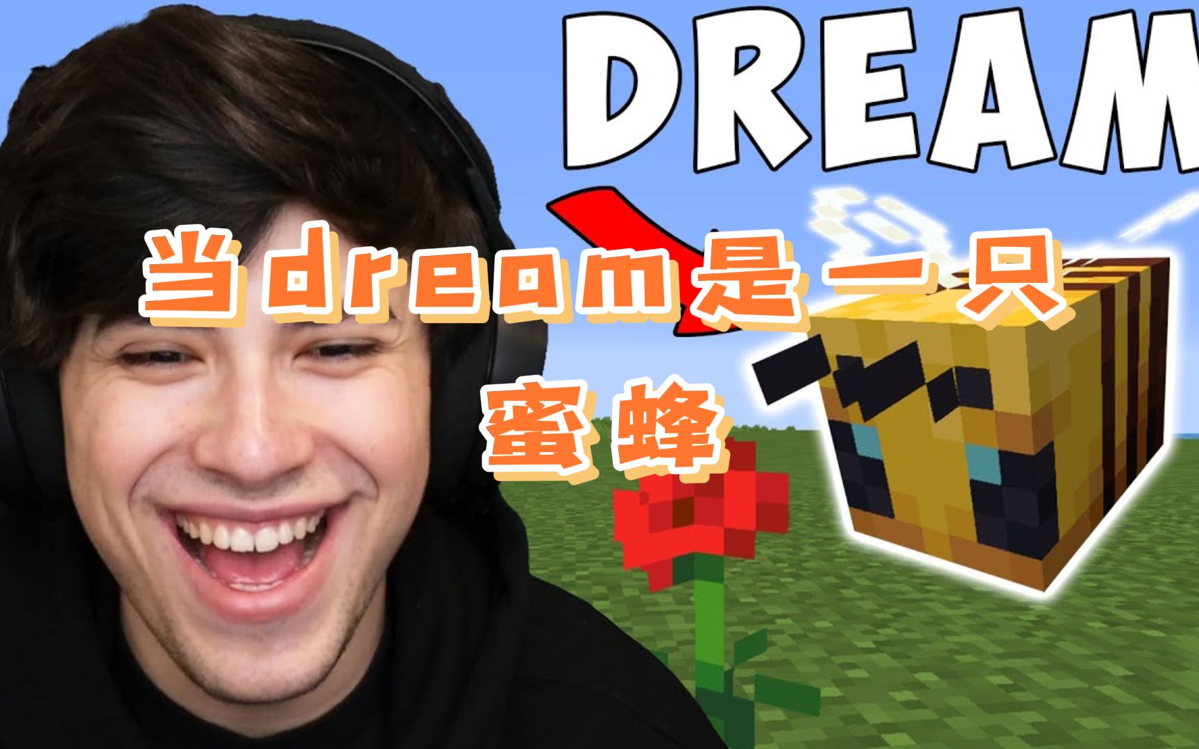 dream变成蜜蜂:是占有欲很强的小蜜蜂一枚呀~_我的世界