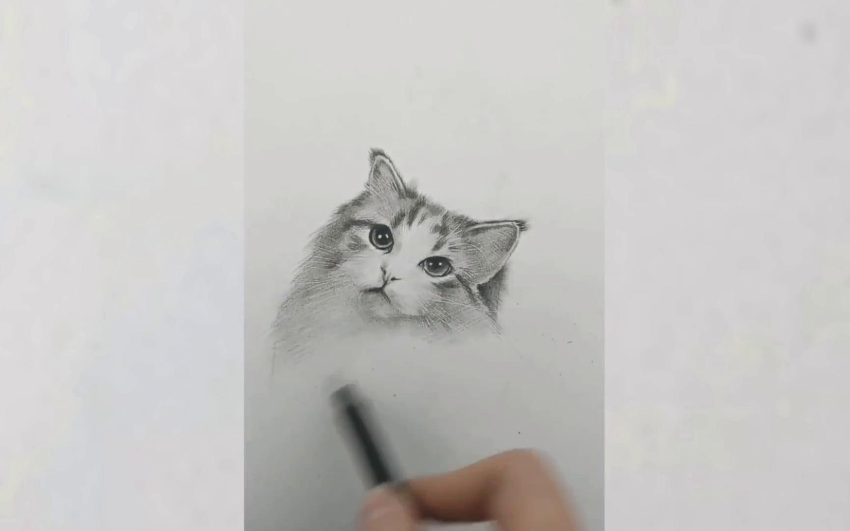【素描教程】画猫咪,其实很简单