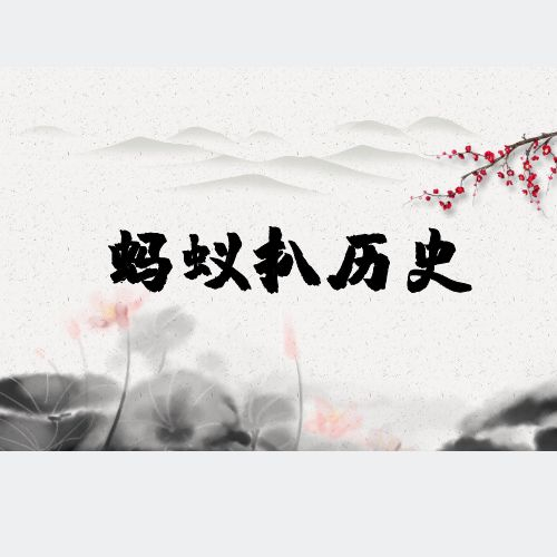 蚂蚁扒历史 