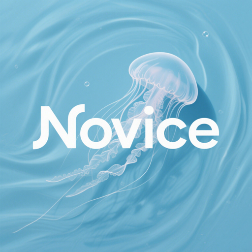 初学者Novice 