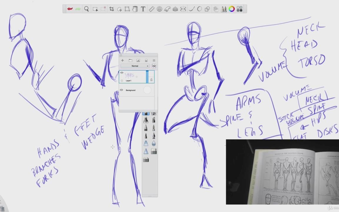 【PS】人体形态骨骼肌肉塑造剖析大师级训练教程(中英双字)