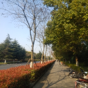 houdini资源 