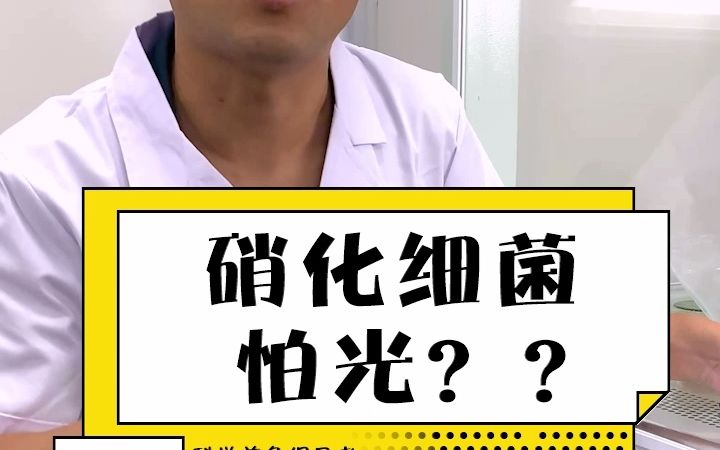 硝化细菌怕光吗?