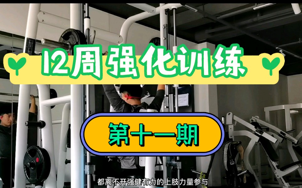 【篮球运动员上肢力量训练】扣篮计划第十一期