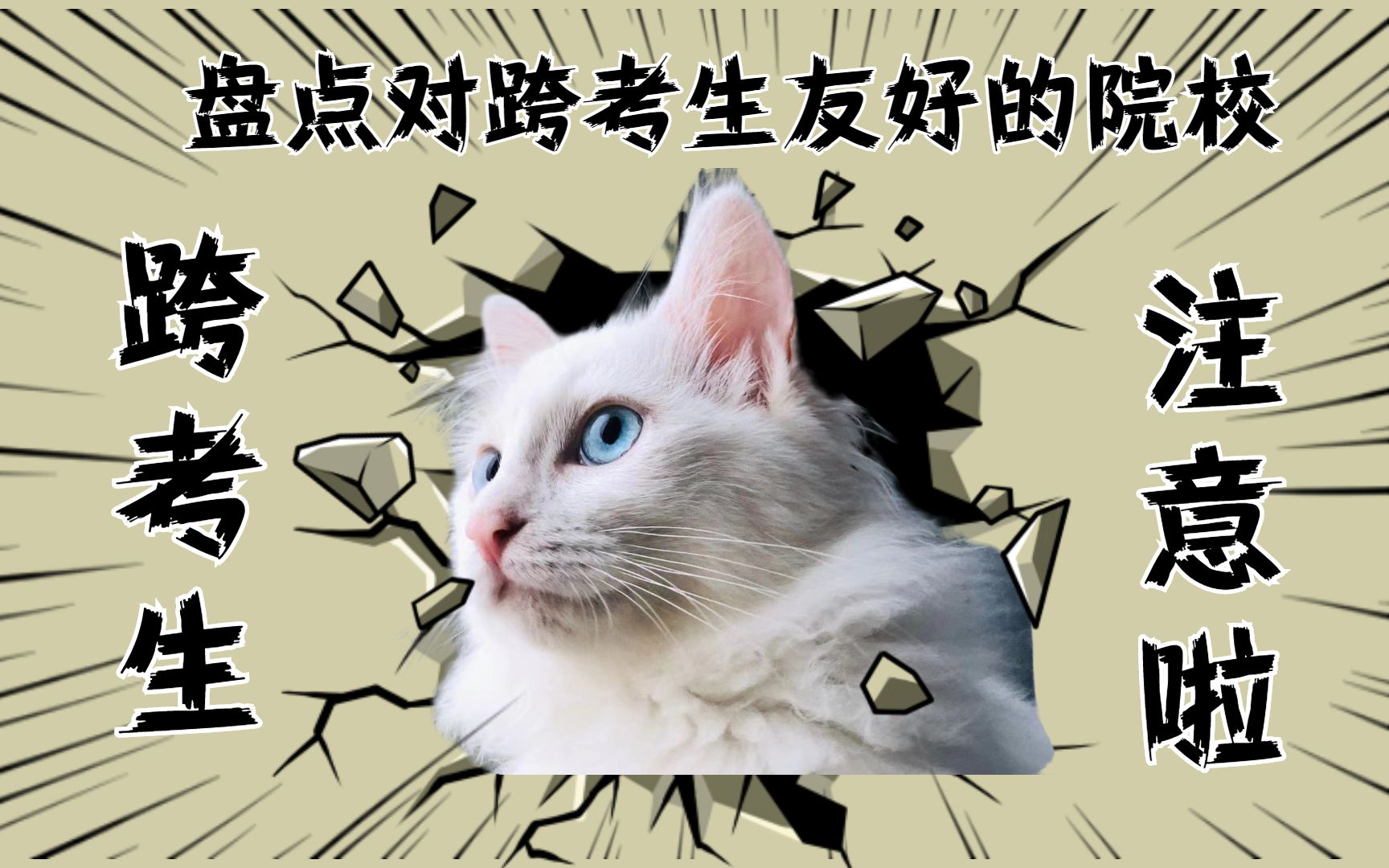 会计考研做题家必备院校名单|盘点初试权重高院校,跨考友好