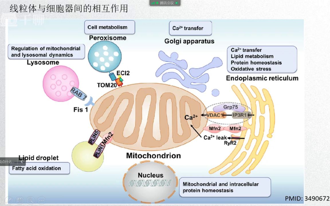05 生信技能树医学会员免费学