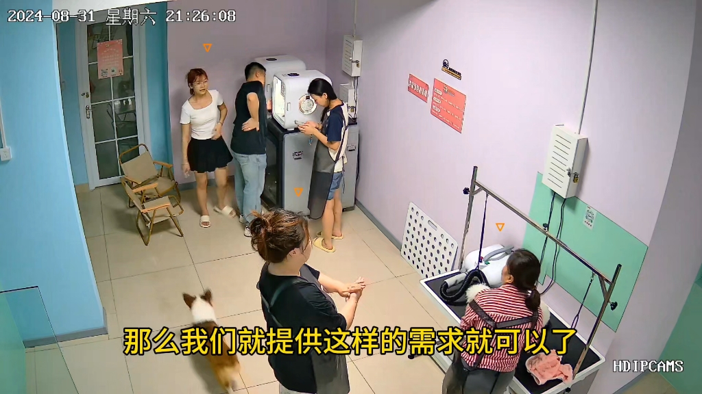 宠物自助洗护爆满的一天#宠物自助洗浴 #宠物洗护 #加盟