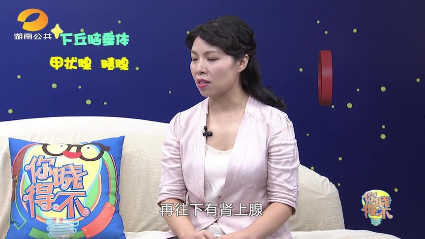 您知道内分泌是由哪些器官组成的吗?内分泌失调到底是什么?