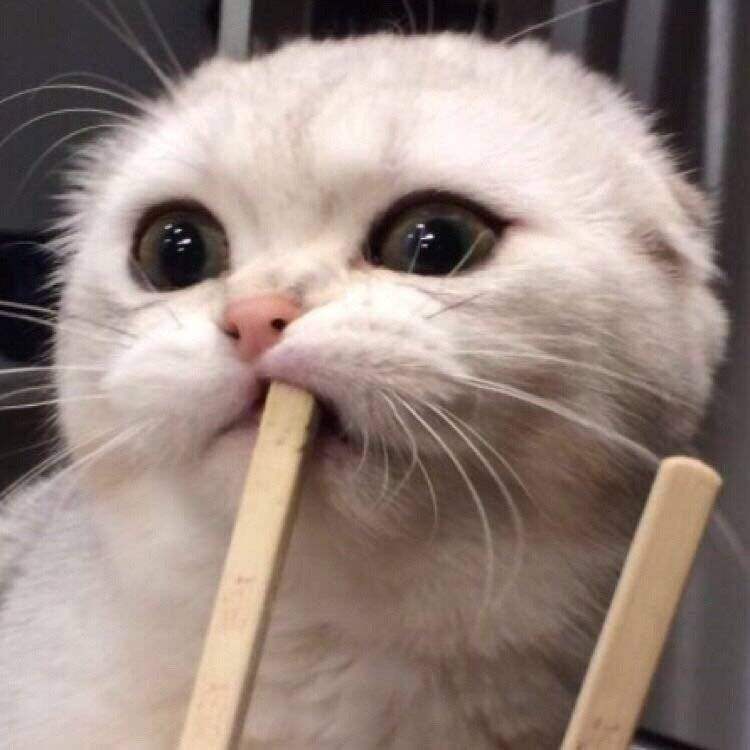 凤凰院涵煦 