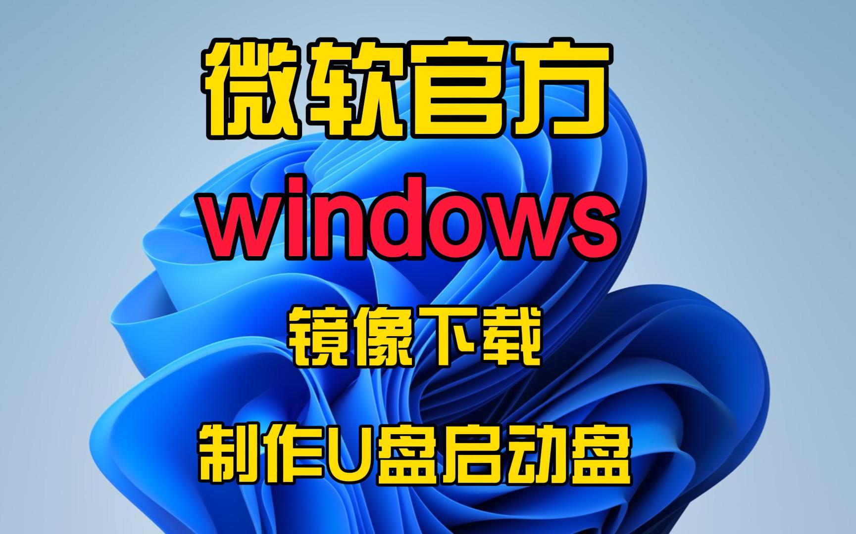 微软官方windows镜像下载及制作U盘启动盘,支持win11,win10,win8.1【...