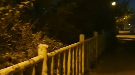 观赏大连夜景的最佳位置-气象台观景台
