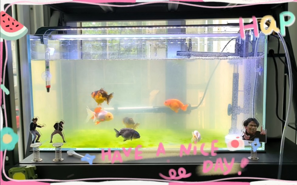 【双排管】最新视频上线,求关注!