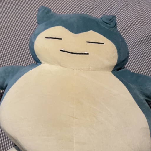 啊南大王 