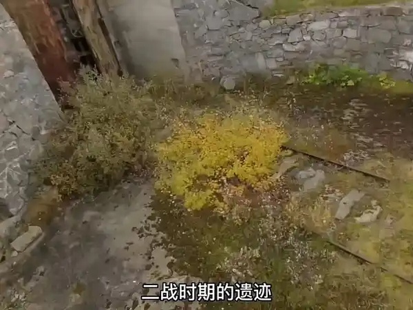 二战德军碉堡里有啥古董电话和探照灯现身!