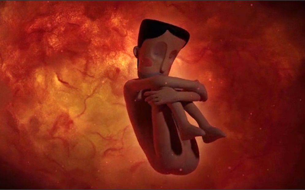 ...溺爱中长大的孩子,最终毁了这个家.现实类暗黑讽刺定格动画《巨婴》