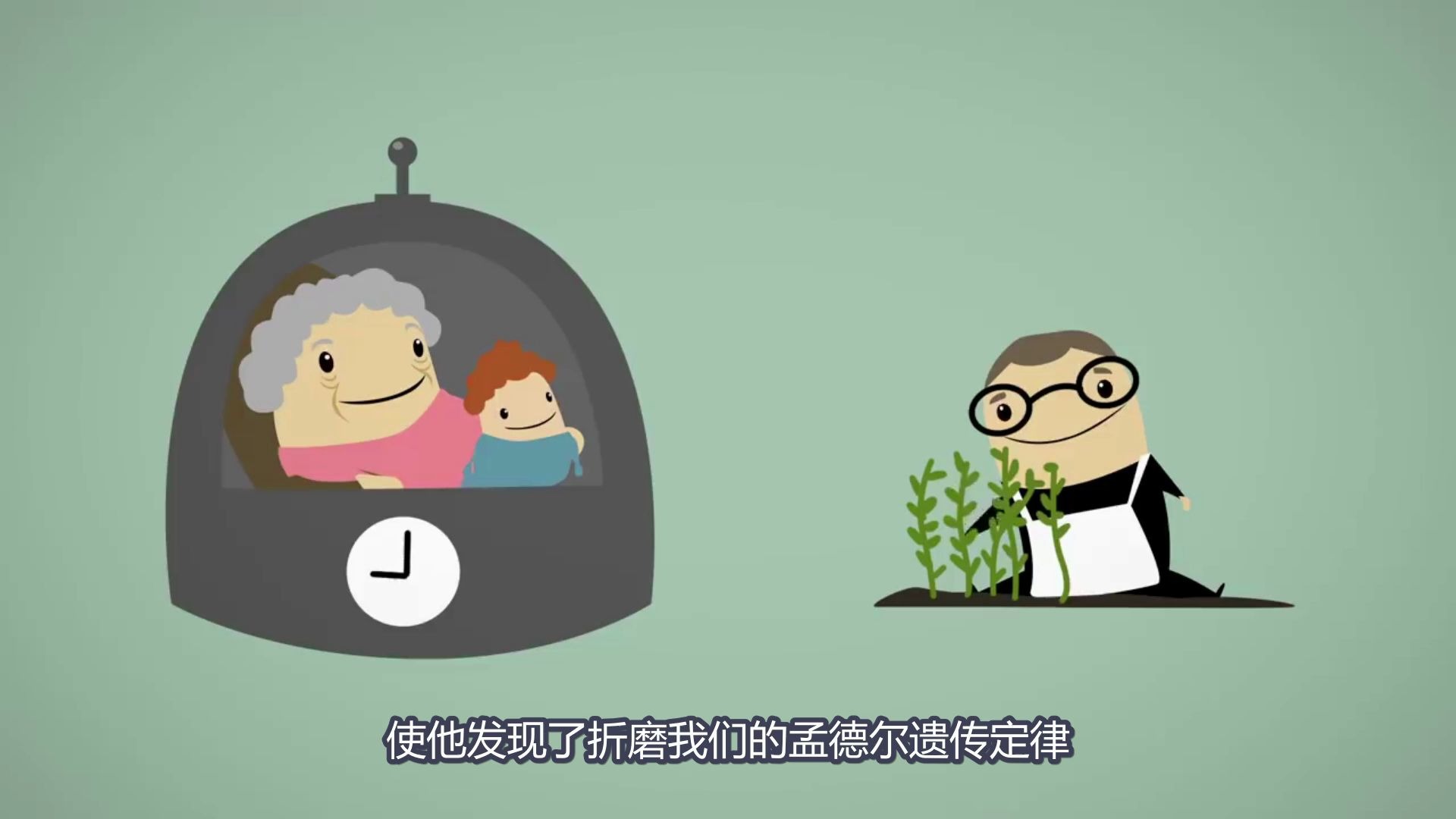 孟德尔遗传定律【中音中字】