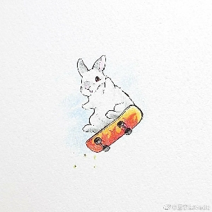 我只想要半苏勒 