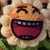 有个猫咪不吃鱼 