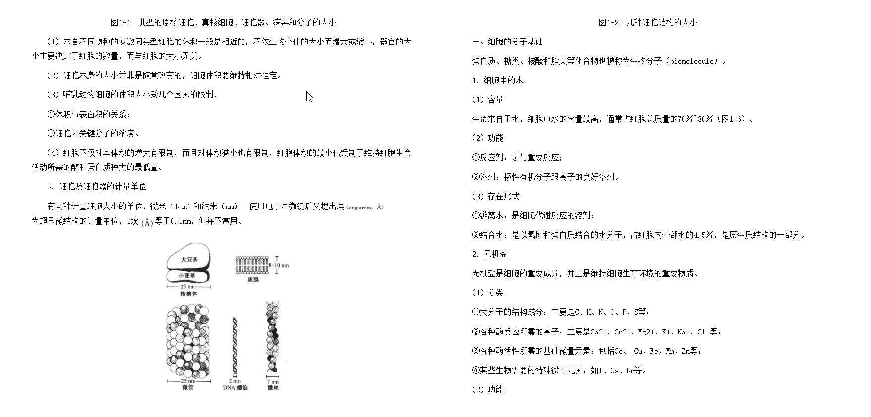 王金发《细胞生物学》笔记和考研真题详解