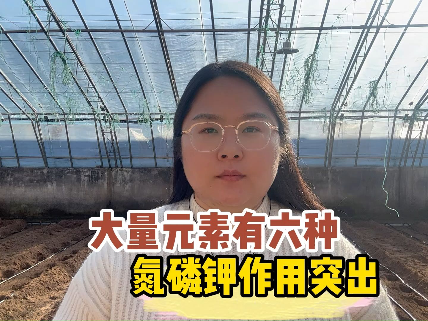 大量元素有哪些,氮磷钾的作用是什么?