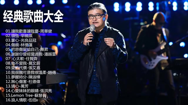 【回味经典】九十年代经典中文歌曲大全 周华健莫文蔚辛晓琪林忆莲