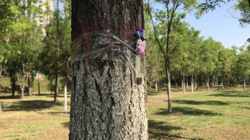 冷弯技术流!15米打火机侧面,传统弹弓估打居然这么精准!